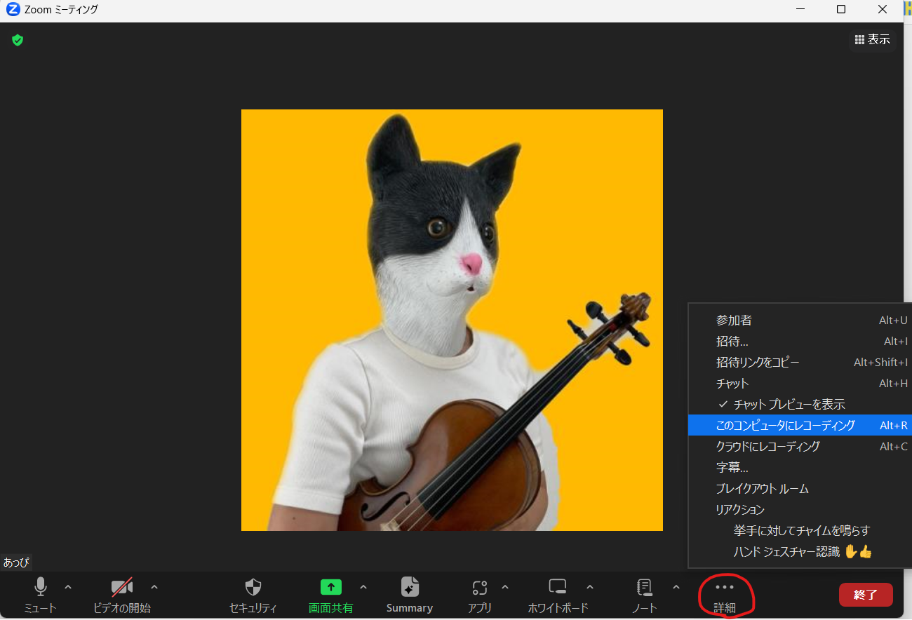 バイオリンのオンラインレッスン設定＆準備は？デメリットも解説 | Violin Prelude